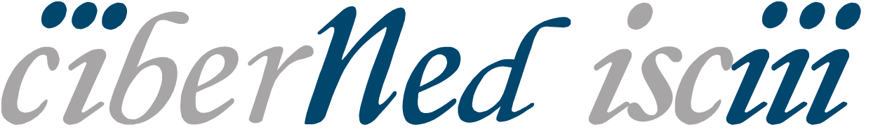 Strategic Partnerships | Instituto de Investigación Sanitaria de ...